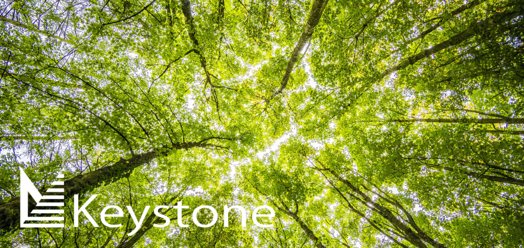 会社案内 代表挨拶 - Keystoneのホームページ